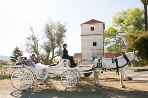 Wedding Horse and Carriages