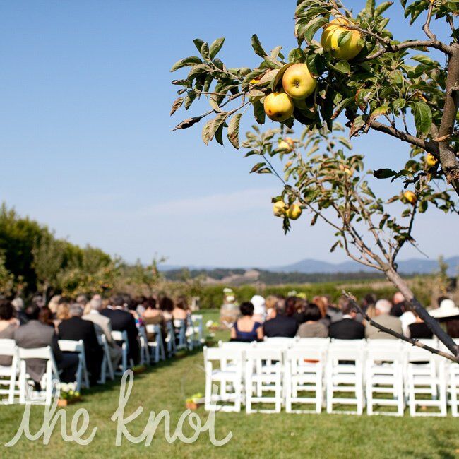 An Apple Orchard Wedding in Napa, California
