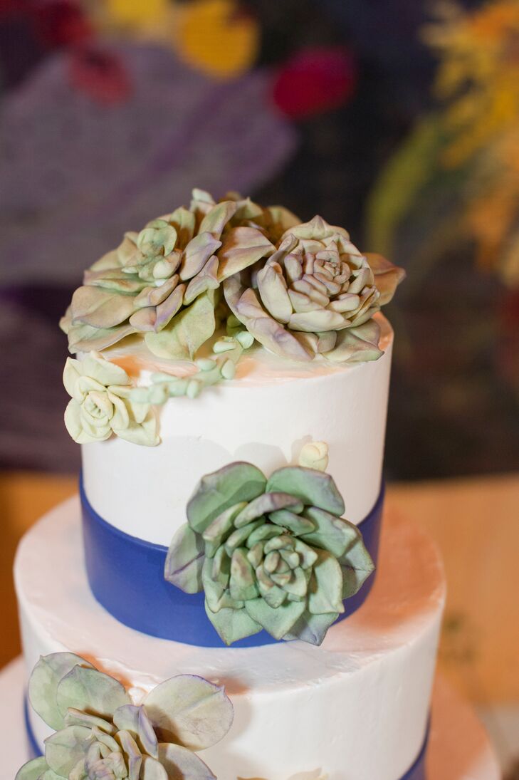 Succulent Desert Cake