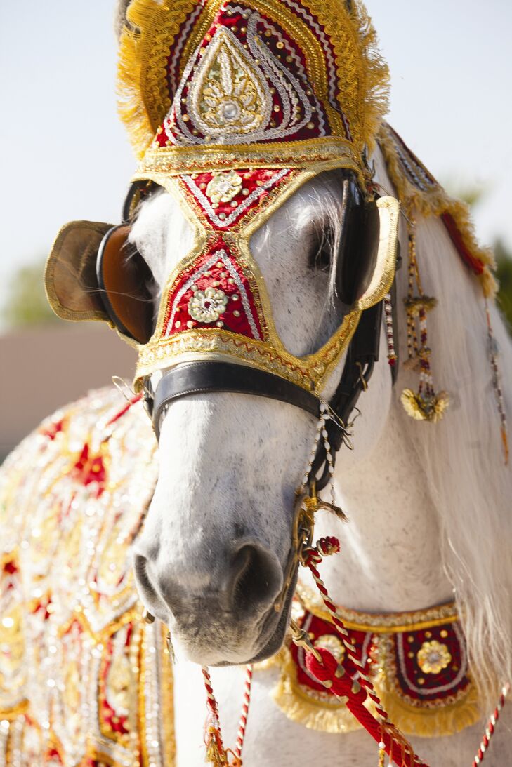 Decorated Wedding Horse