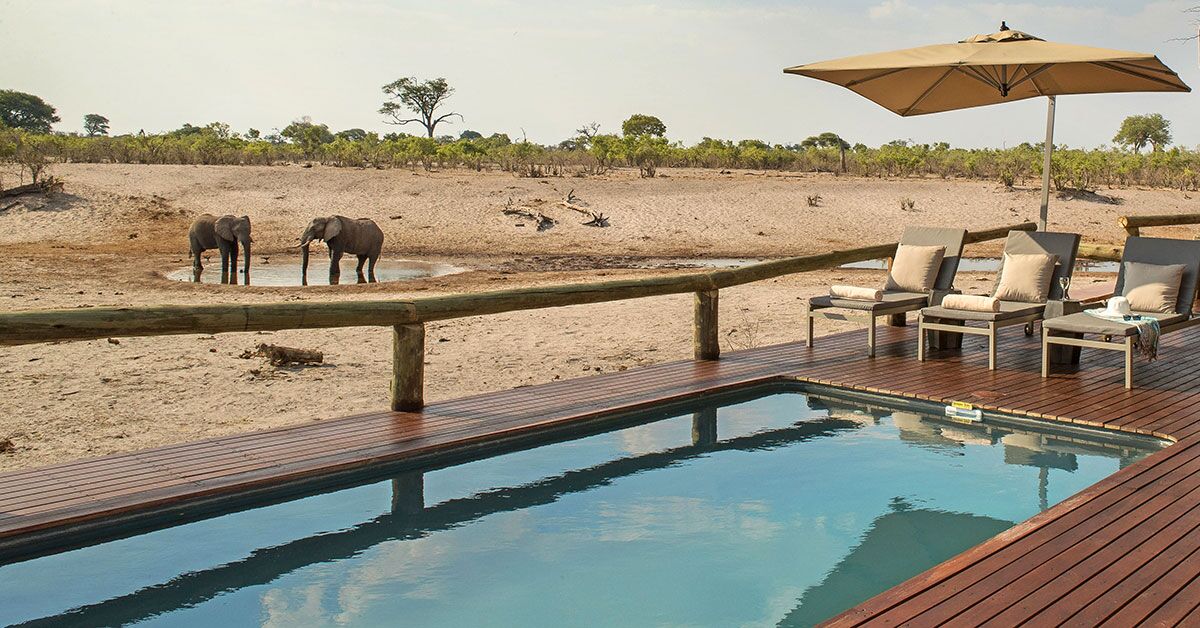 A Botswana Honeymoon Safari Guide | Best Resorts & Things to Do