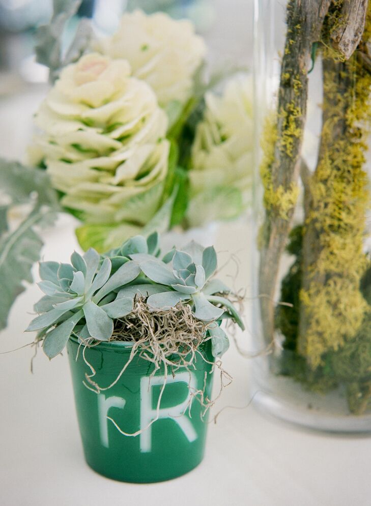 Succulent and Moss Centerpieces
