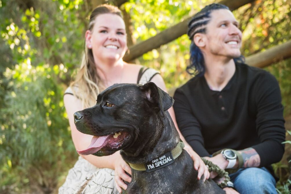 Jessica Hinson and Wade Willard's Wedding Website - The Knot