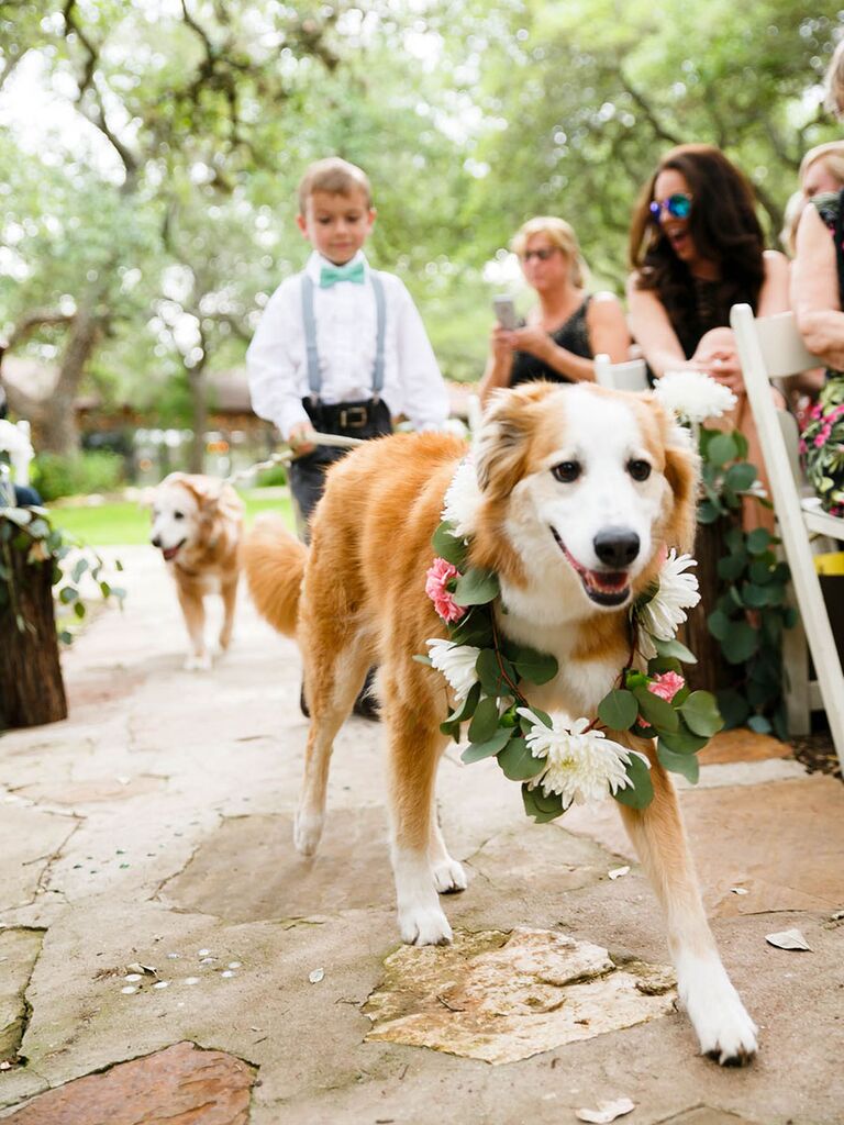 The 11 Cutest Pups With Flower Crown Collars We've Ever Seen