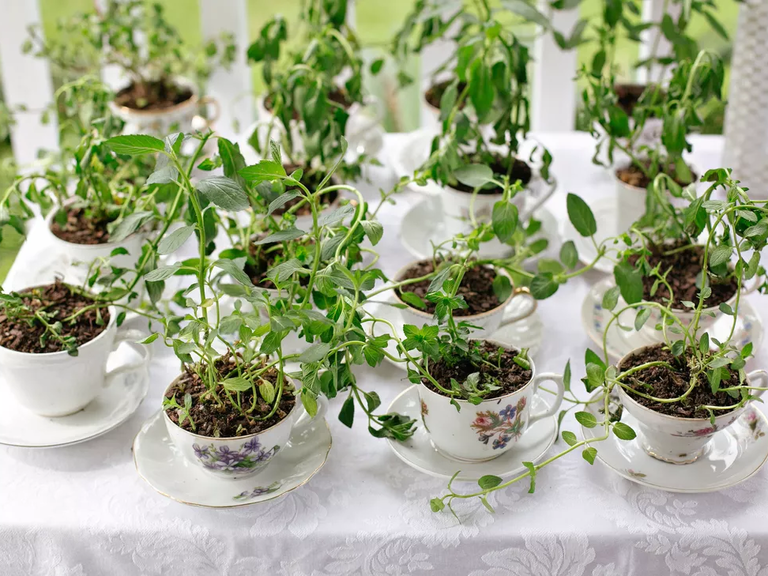 35 Cottagecore Wedding Ideas That Are Straight Out of a Storybook