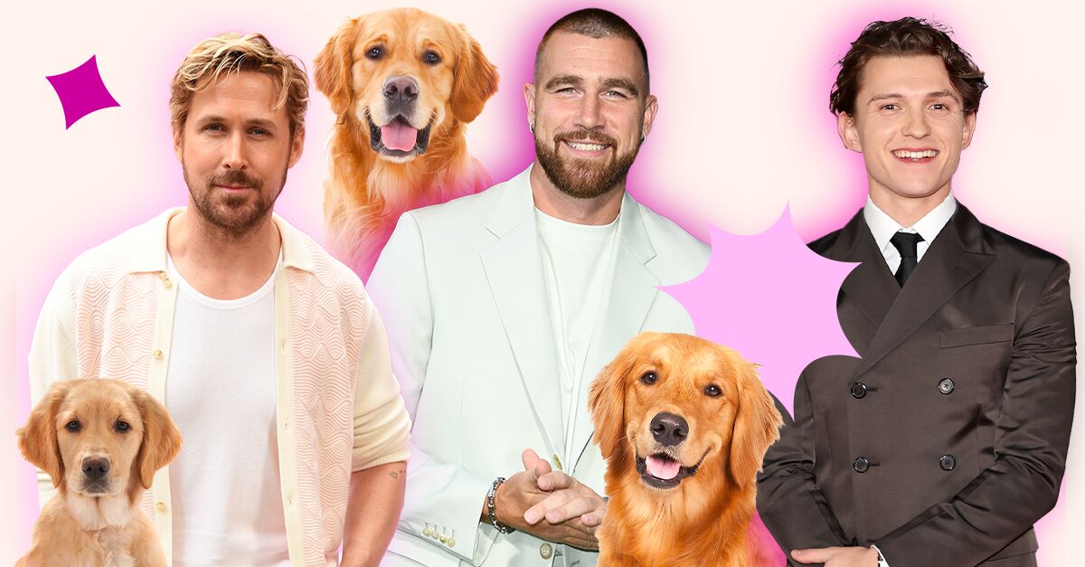 The Definition and Personality of the Golden Retriever Boyfriend