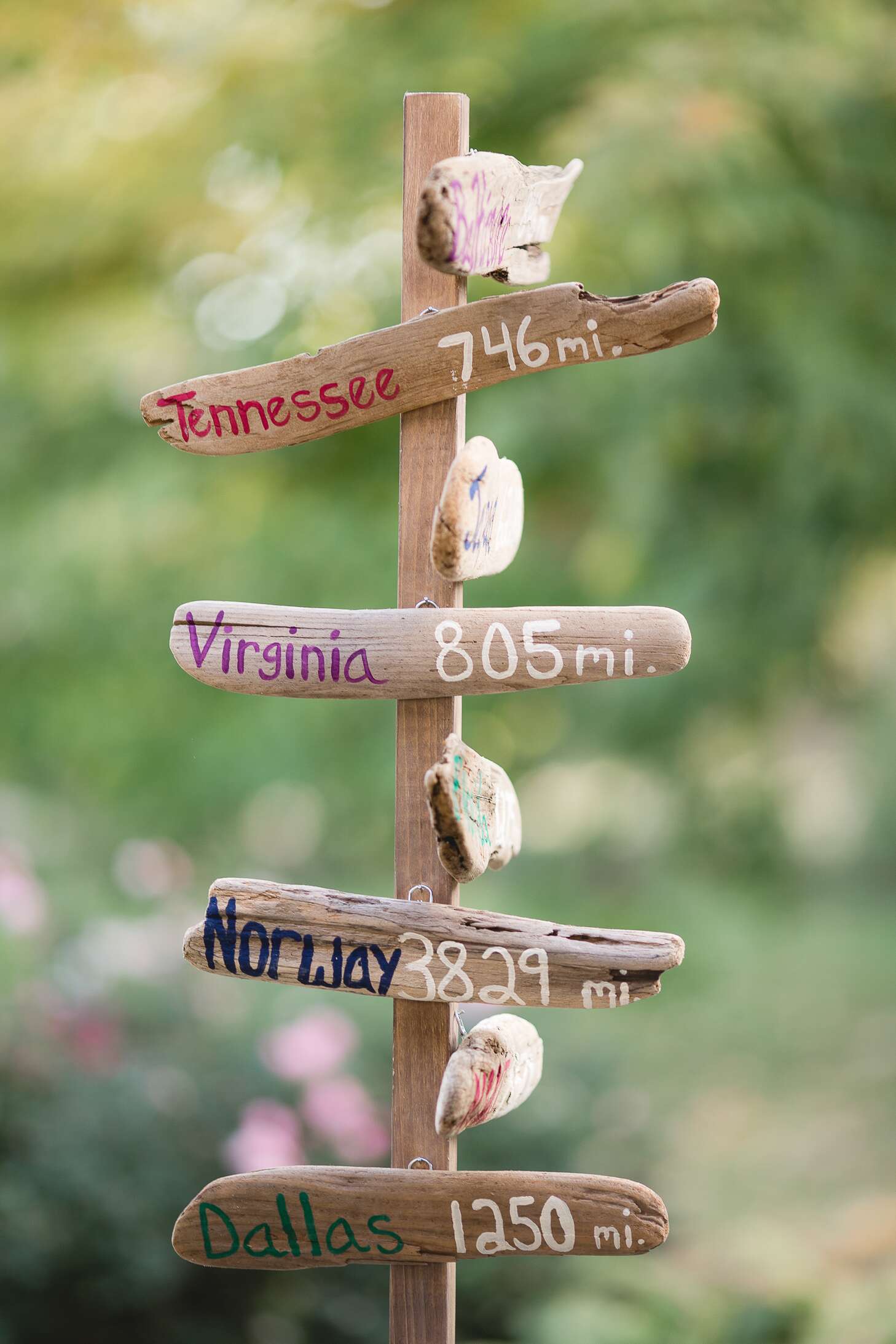 Directional signage for weddings 60 photos - Astyledwedding.com