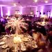 Purple Uplighting