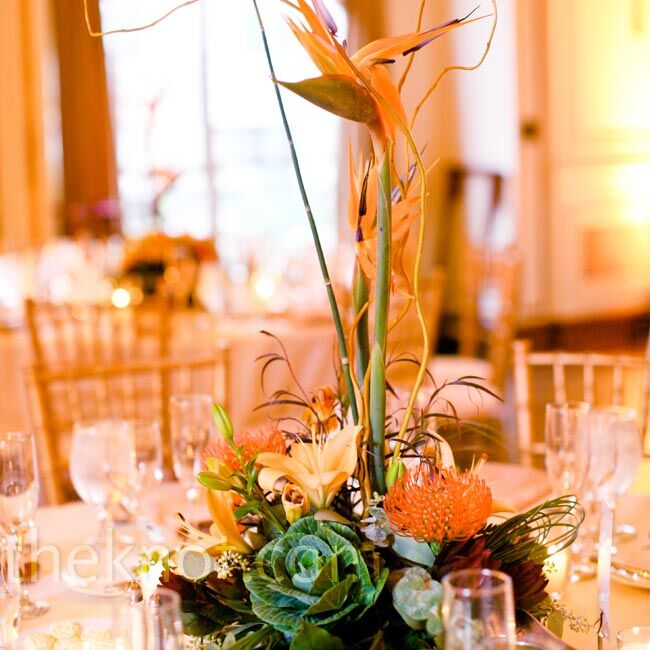 Exotic Modern Centerpieces