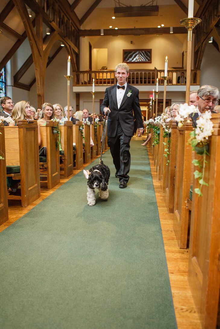 Dog As Ceremony Ring Bearer