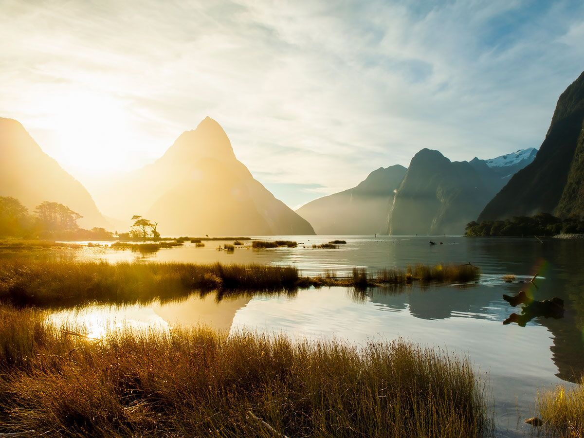 Marriage License Requirements for New Zealand