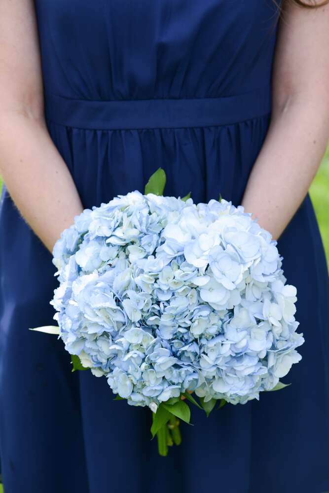 Wegmans Flowers For Wedding | Best Flower Site